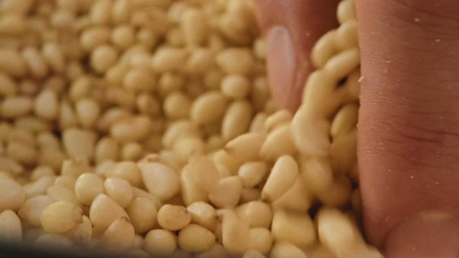 Homepage - hummusbar